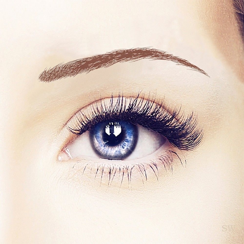 Light Simone False Eyebrow | Beauti-Full Brows