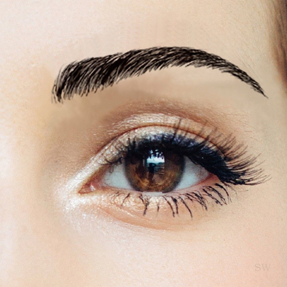 Nicole False Eyebrow | Fake Eyebrow Collection