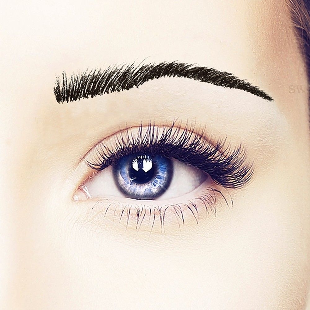 Dark Sophia False Eyebrow | Beauti-Full Brows