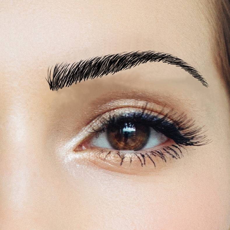 Megan False Eyebrow | Beauti-Full Brows | Simply Wigs